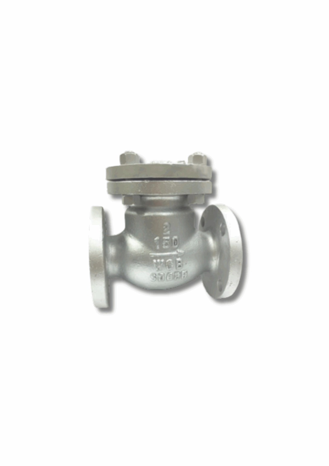 ARITA Swing Check Valve Cast Steel | วาล์วกันกลับสวิง จาก Pinpoint