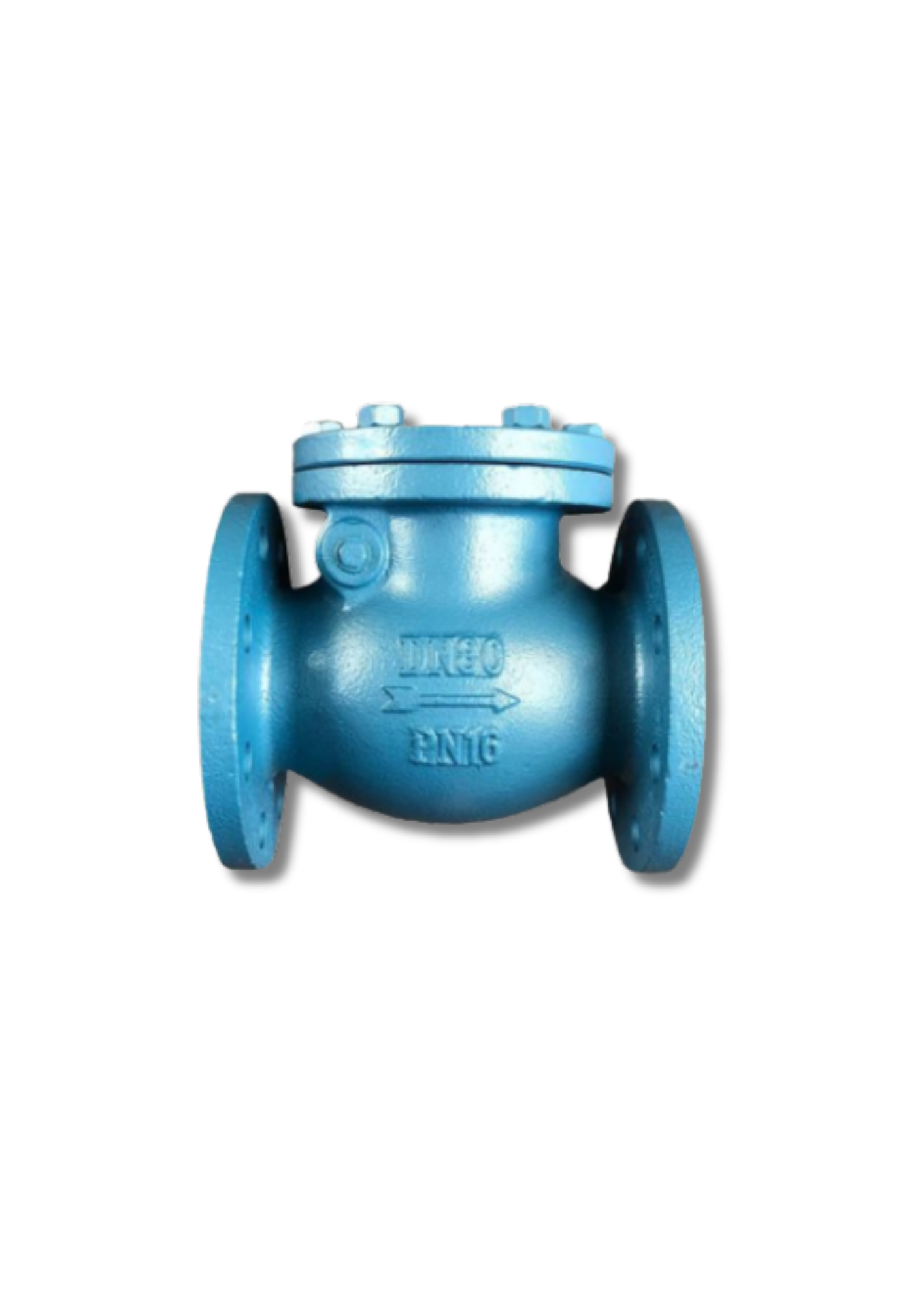 Swing Check Valve Cast Iron PN16 Arita | วาล์วกันกลับ เหล็กหล่อ คุณภาพ ...